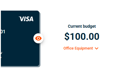 How to switch budgets in Budgetly